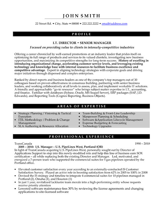 Modern Executive Resume Template FreedomGros